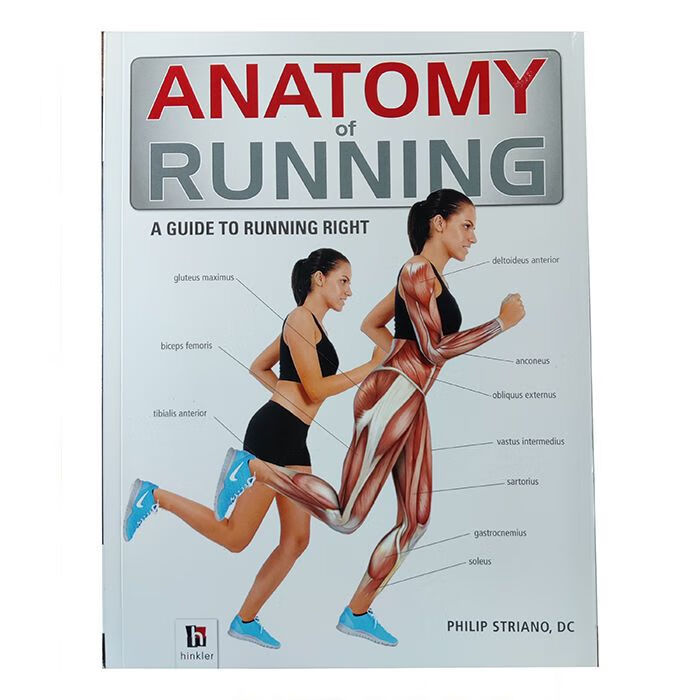 尾单 Anatomy of Core Stability/Exercise 系列书 running