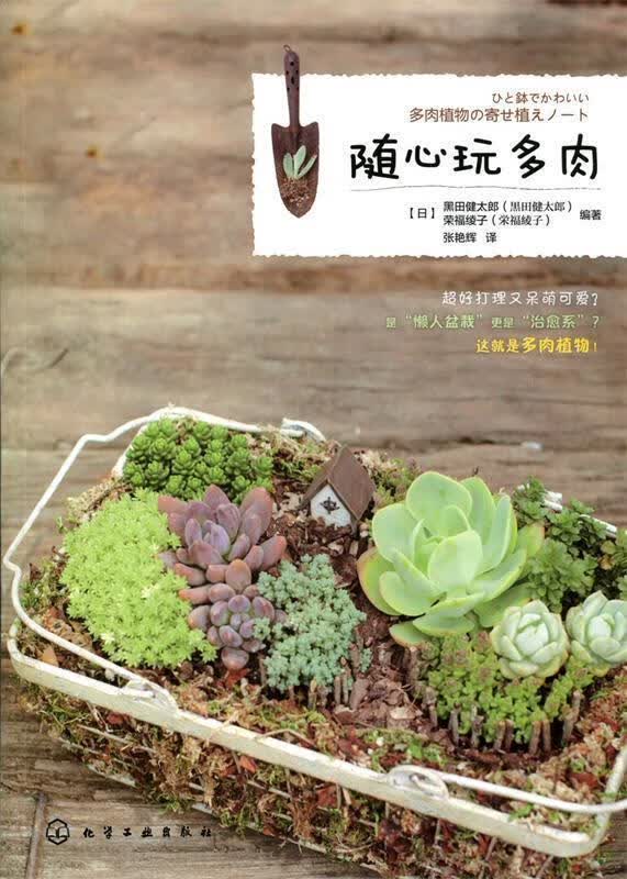 随心玩多肉