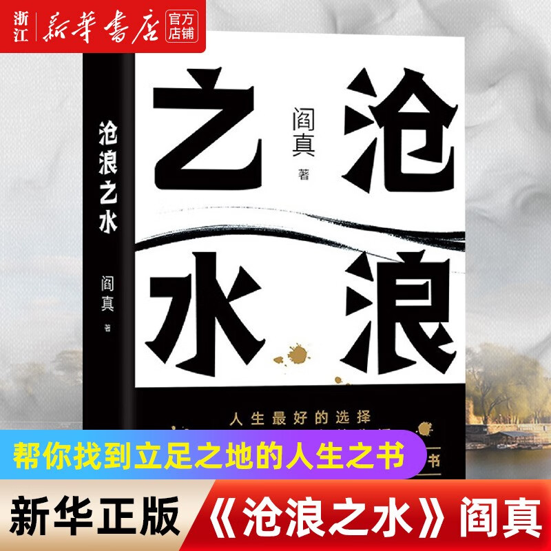 沧浪之水阎真