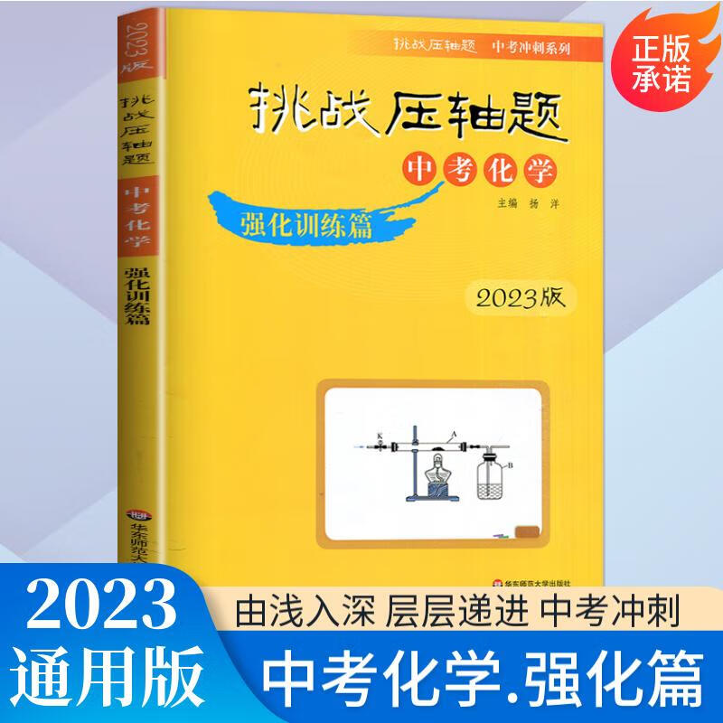 自选】2023挑战压轴题中考数学物理化学强化训练轻松入门精讲解读篇 初中难题大题复习提优冲刺训练习册讲解资料书 化学 强化训练篇