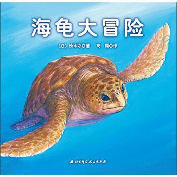 海龟大冒险【，放心购买】