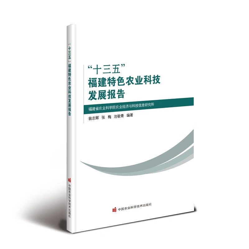 “十三五