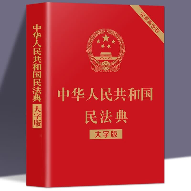 民法典全套（大字版）基础版 民法典草案法律基础知识法律入门宝典书籍 单册