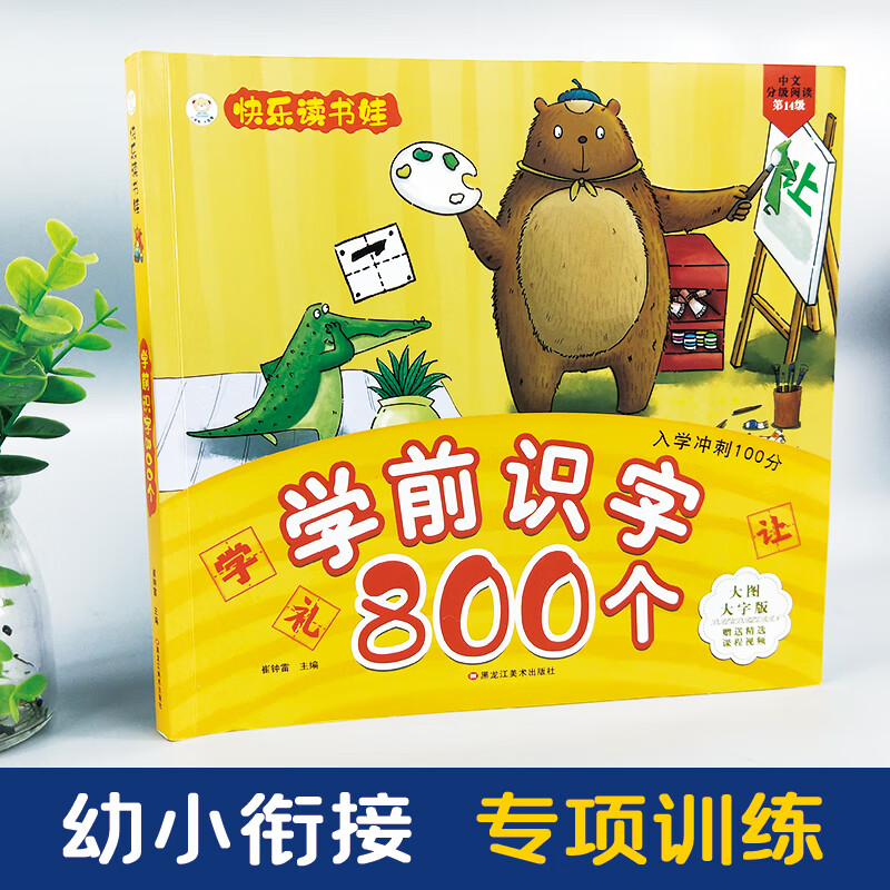 小笨熊 学前识字800个 超厚本大开本 彩图注音 快乐读书娃 幼儿园适用 幼小衔接教材 识字启蒙 智力开发