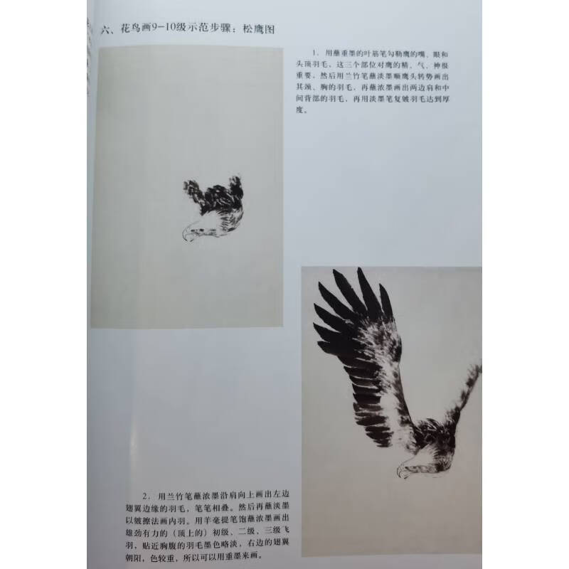 中国画考级9-10级