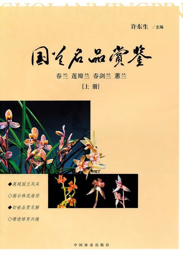 国兰名品赏鉴