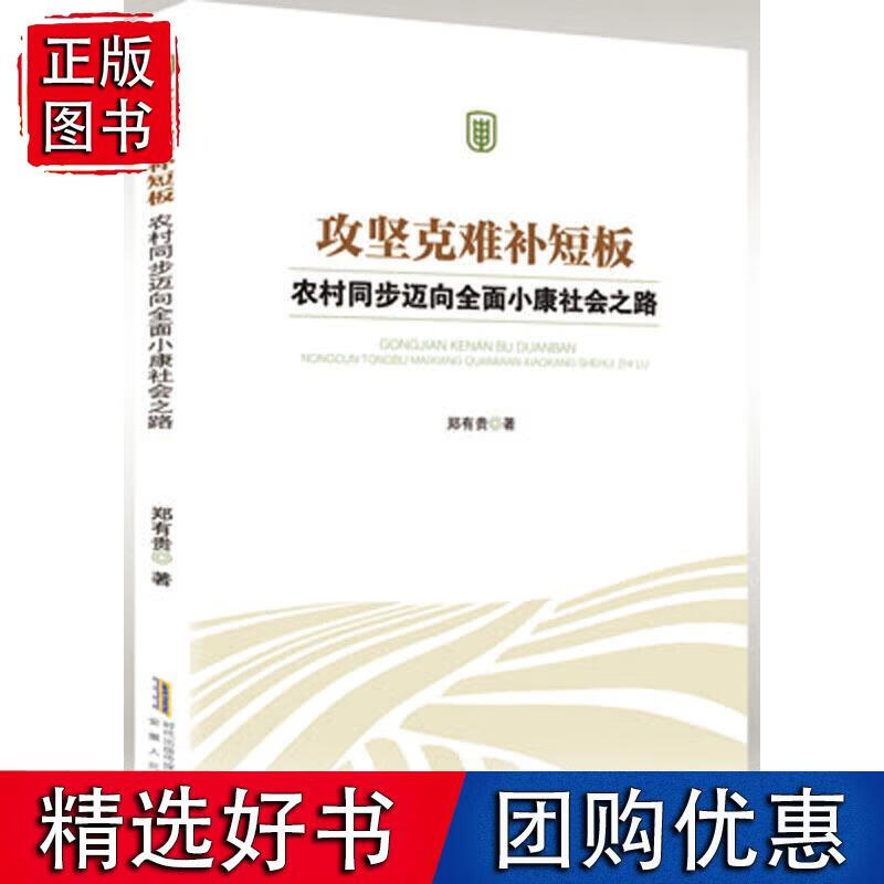 攻坚克难补短板：农村同步迈向小康社会之路