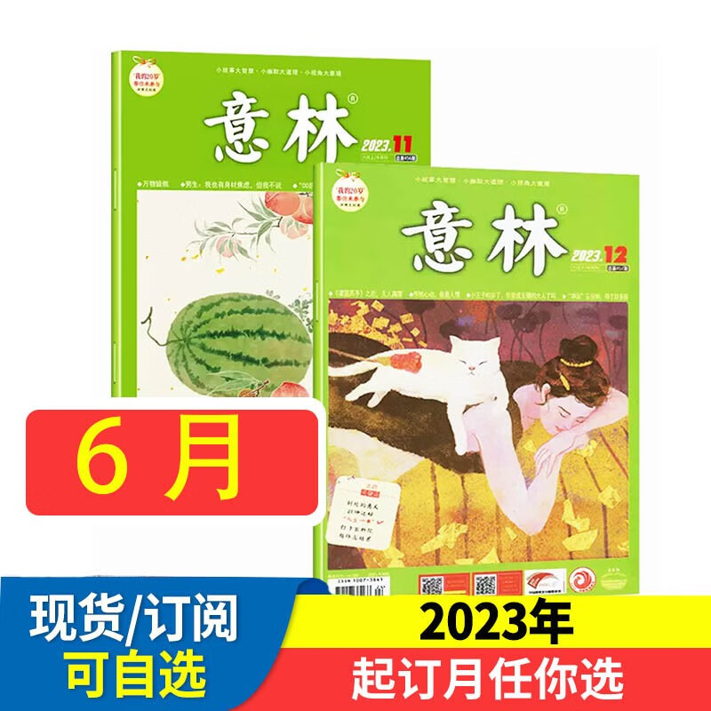 意林杂志 2023全年/半年订阅作文技巧提升青少年版初学生作文素材正能量励志阅读官方授 2023年6月现货(11/12两期)
