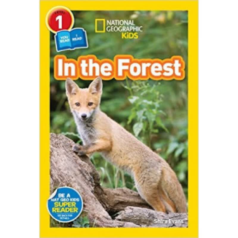 现货英文原版 国家地理儿童绘本 IN THE FOREST 在森林中