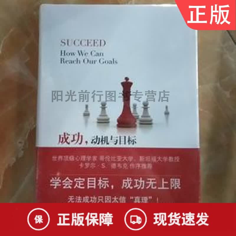 成功，动机与目标