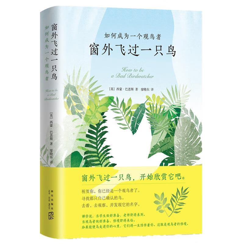窗外飞过一只鸟