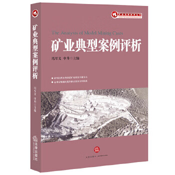 矿业典型案例评析 冯军义 申升 法律出版社