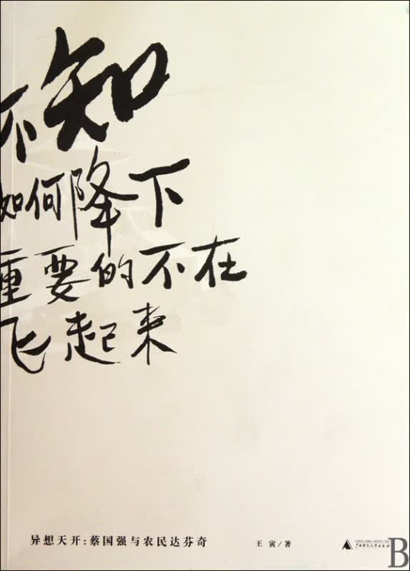 异想天开--蔡国强与农民达芬奇