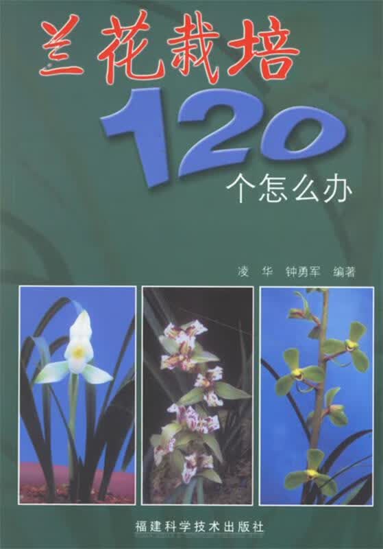 兰花栽培120个怎么办