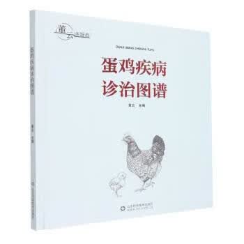 速发 蛋鸡疾病诊治图谱 董云主编 动物医学兽医学 山东科学技术出版社9787572312076