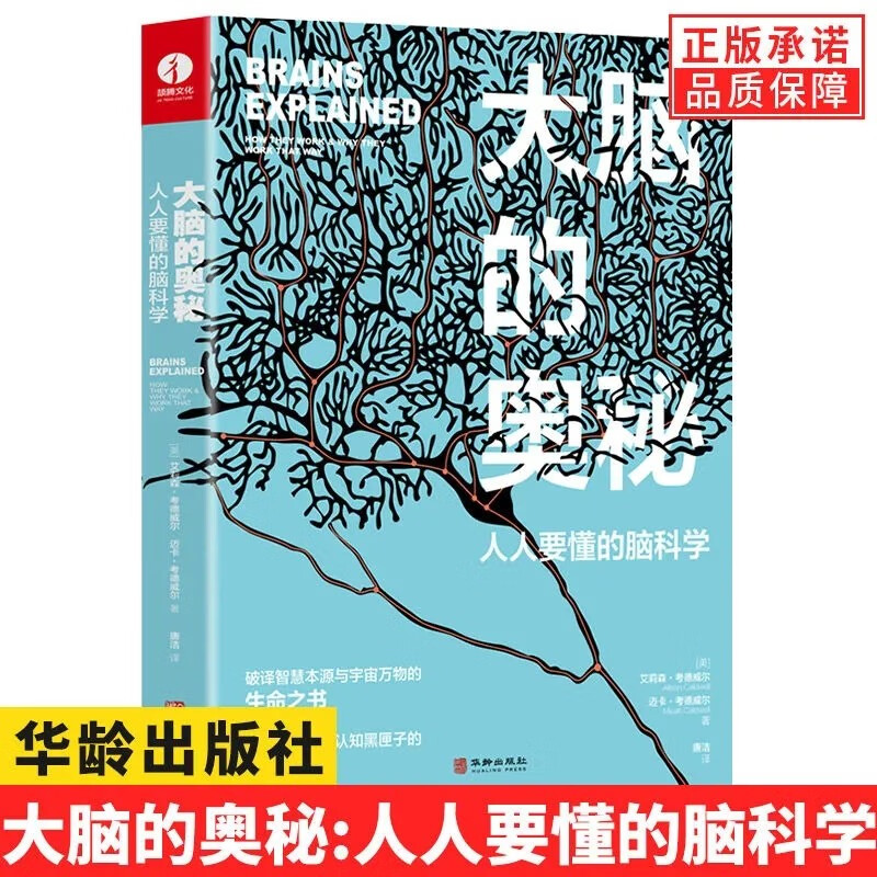 大脑的奥秘 人人要懂的脑科学 人类智慧生物学原理脑科学前沿知识书籍 华龄出版社