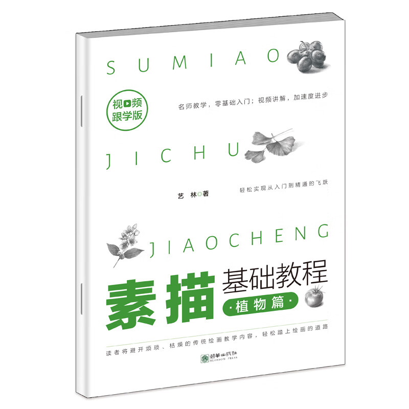 素描基础教程·植物篇