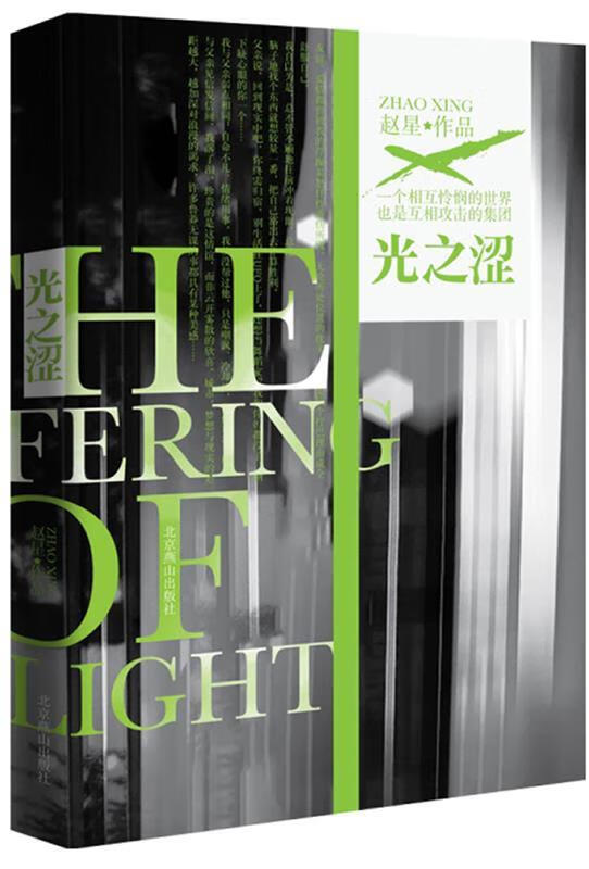 光之涩 赵星 著 北京燕山出版社