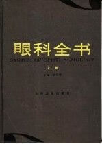 眼科全书9787117023016