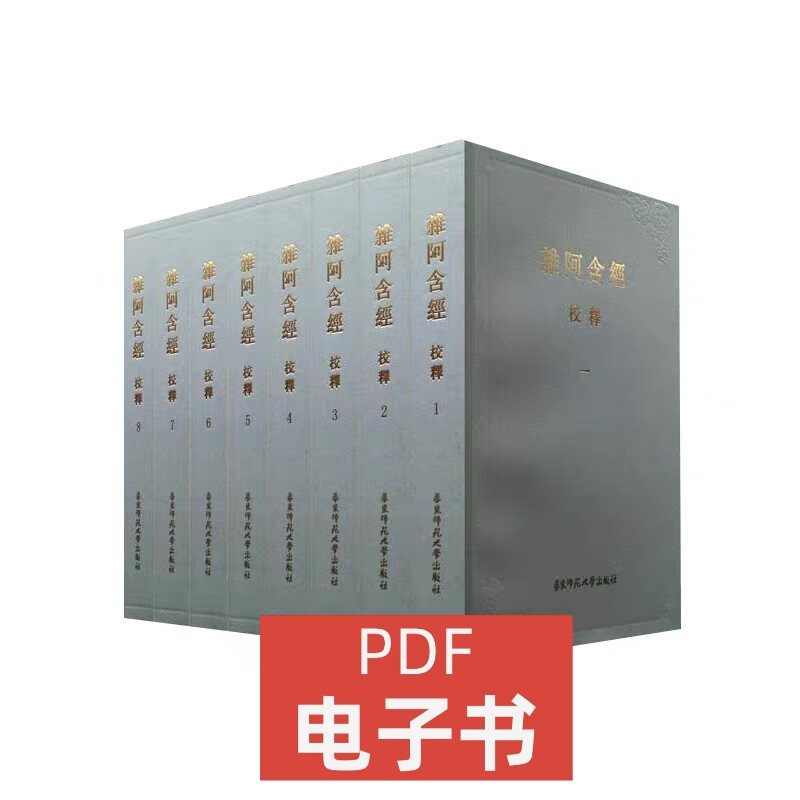 电子书_杂阿含经校释佛学文献与佛学研究 华东师范大学