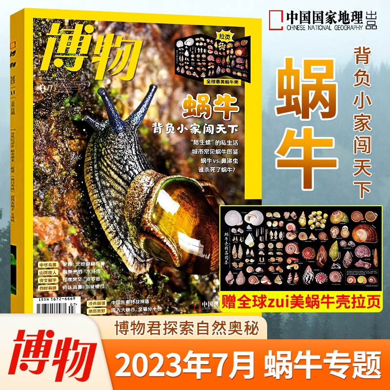 博物杂志2023年8/7/6/5/4/3/2/1期巨树/蜗牛/恐龙的脚印/2022年食蚁怪兽/月球探索/蜻蜓/深海/竹子/蜜蜂/鲨鱼专题 国家地理少年版博物君儿童学生阅读书籍 博物2023年7月 蜗牛