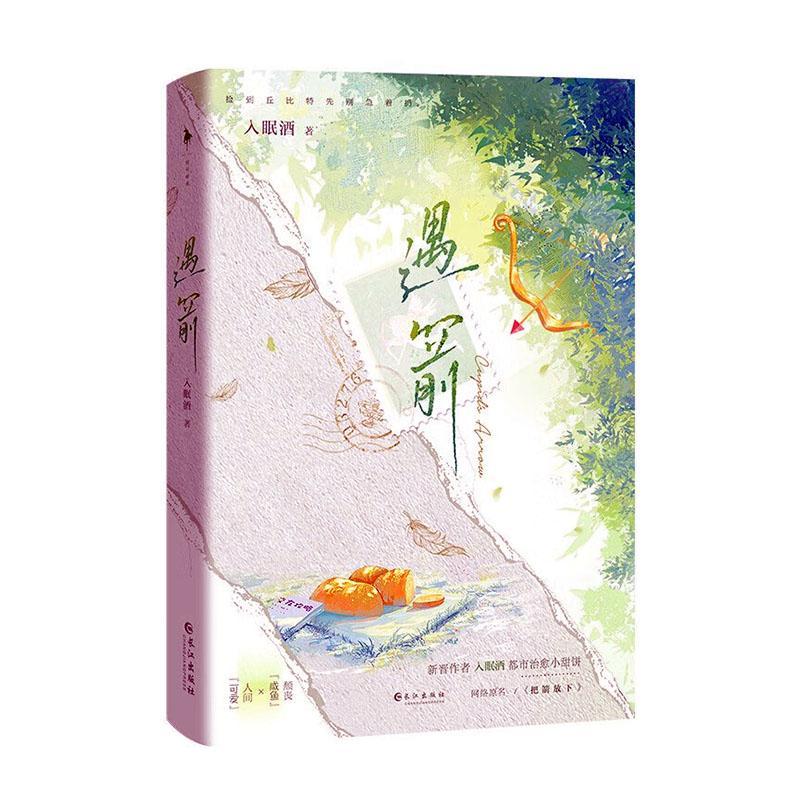 遇箭 青春文学9787549288540