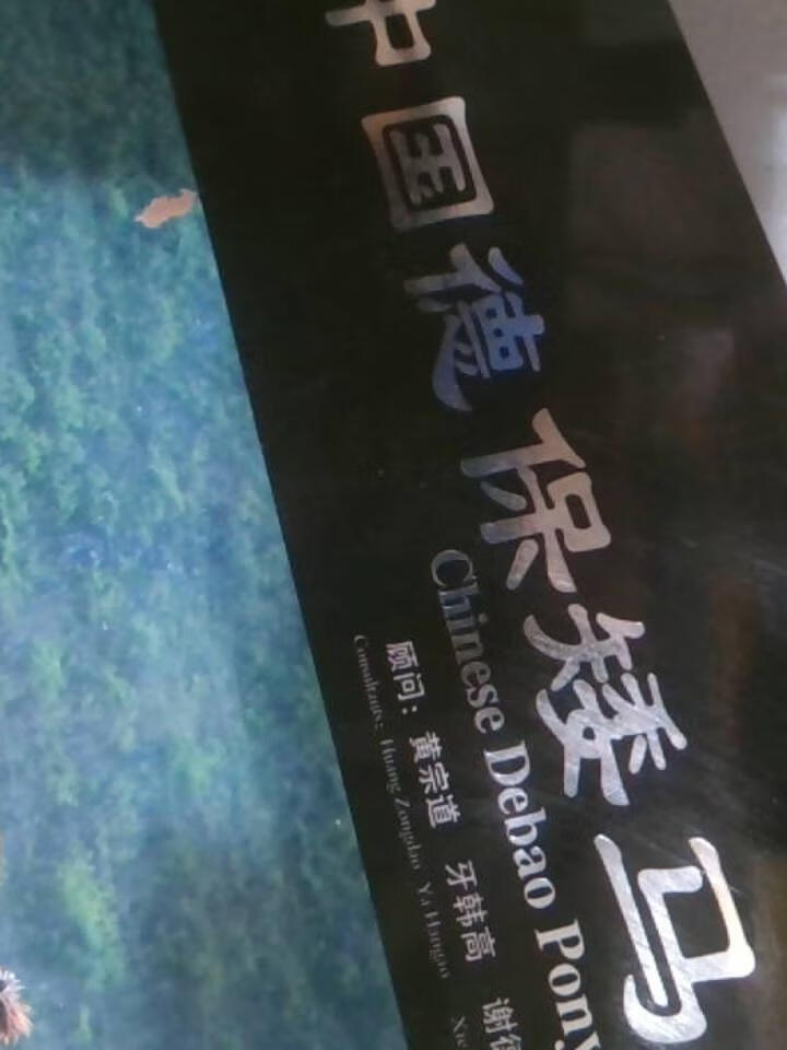 中国德保矮马