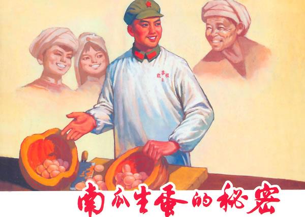 南瓜生蛋的秘密