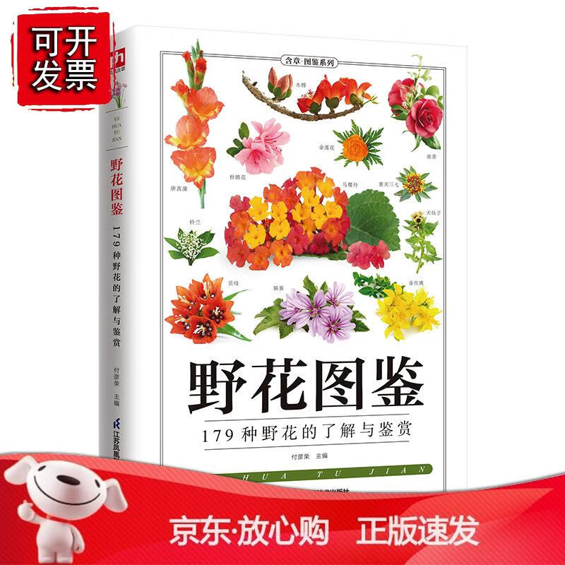 野花图鉴 付彦荣 主编江苏凤凰科学技术出版社978755375753701