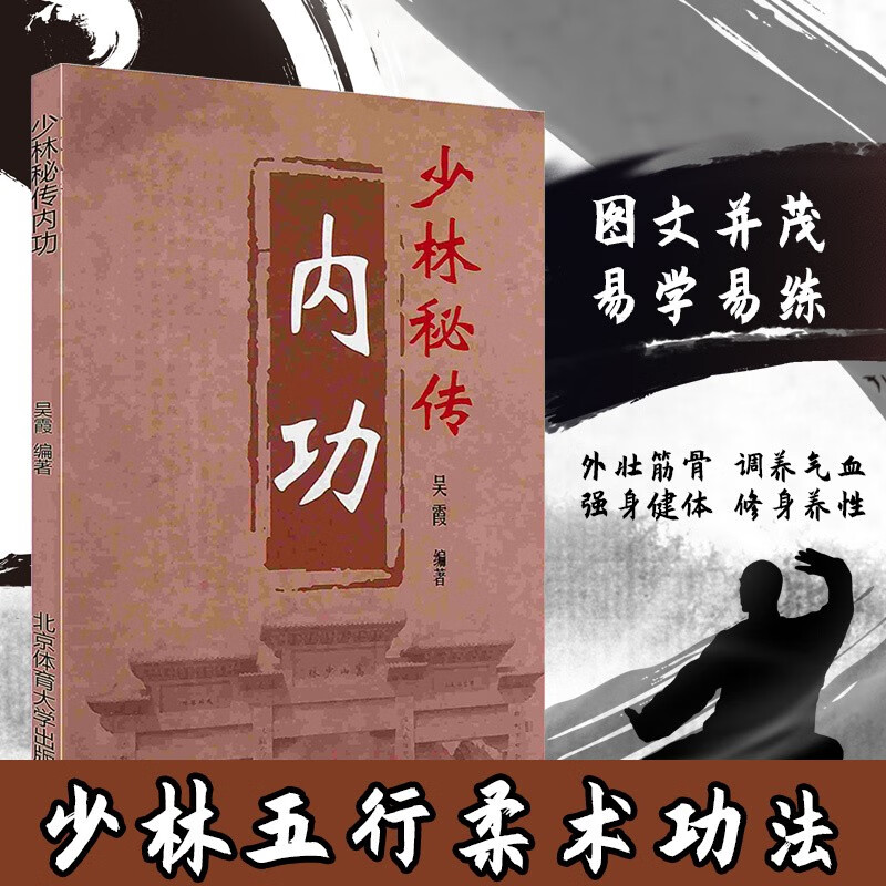 现货 少林秘传内功 内功练习套路入门教学培训书籍 养生健身书籍 北京体育大学出版社