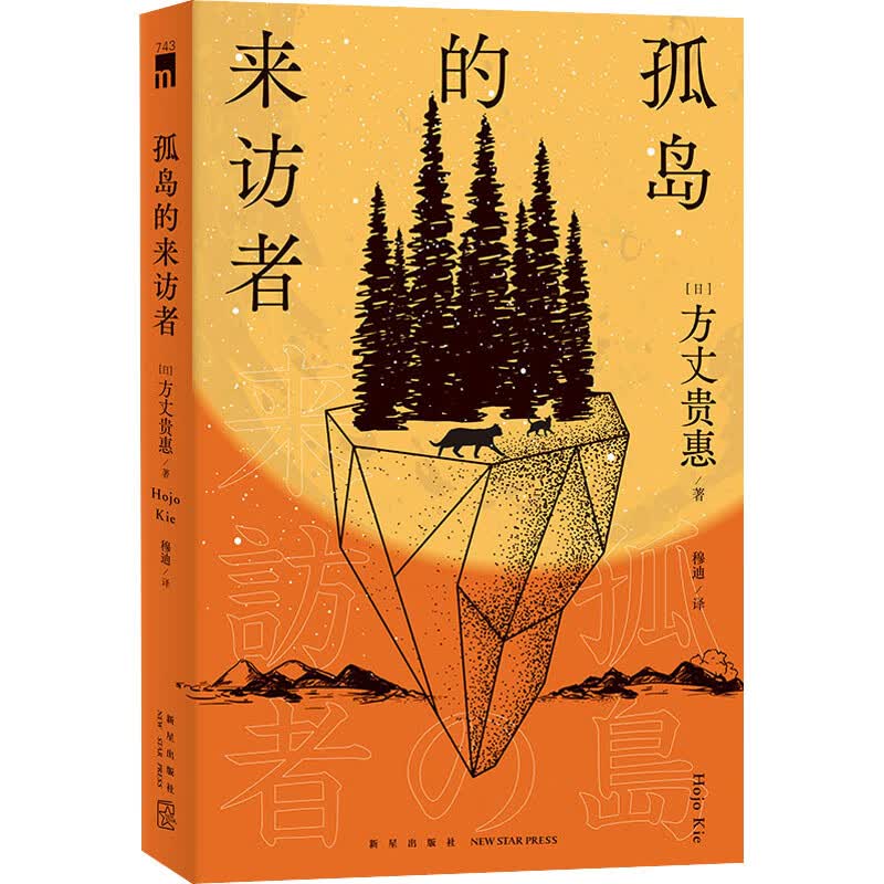 孤岛的来访者 图书