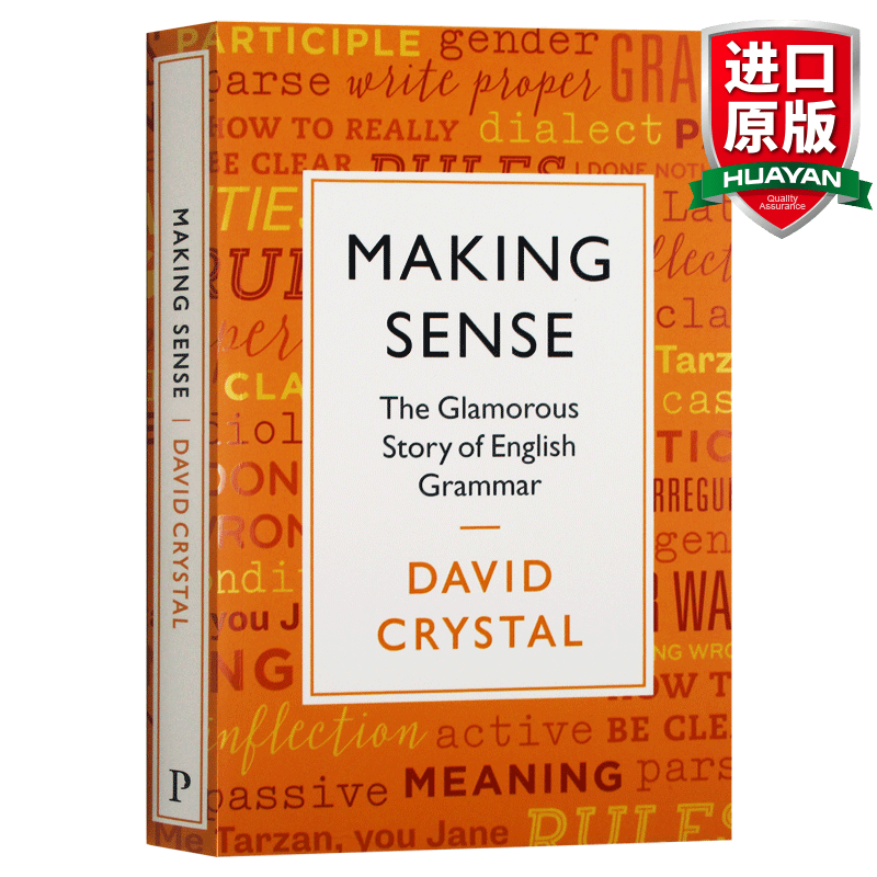 英文原版 理解：英语语法的故事 Making Sense 通过故事理解语法