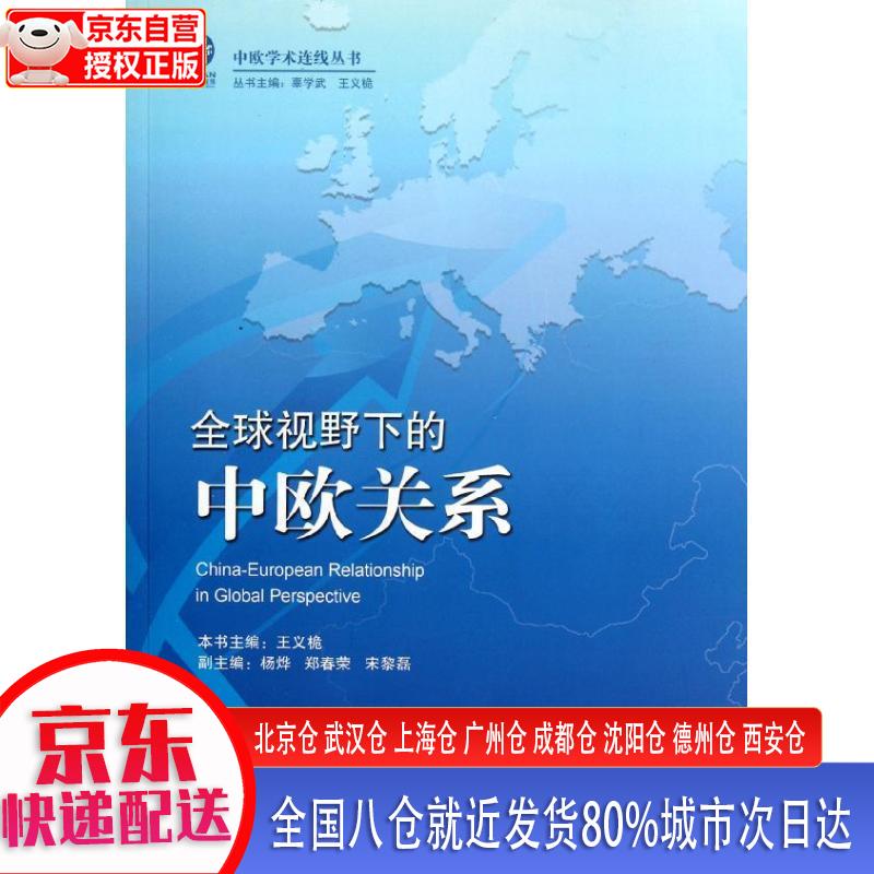 【现货】全球视野下的中欧关系 王义桅，等 世界知识出版社