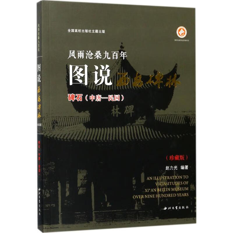 风雨沧桑九 赵力光 编著 艺术/篆刻