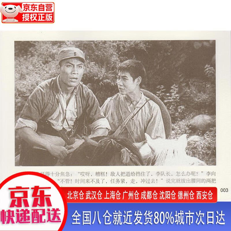 【现货】平原游击队（红色经典电影连环画：抗日战争系列） 严锴，张照富 中国民主法制出版