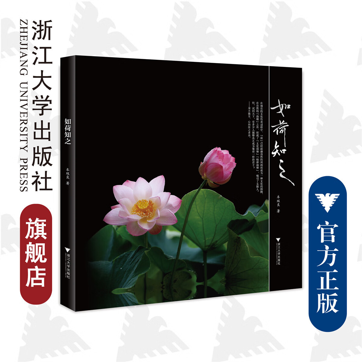 如荷知之