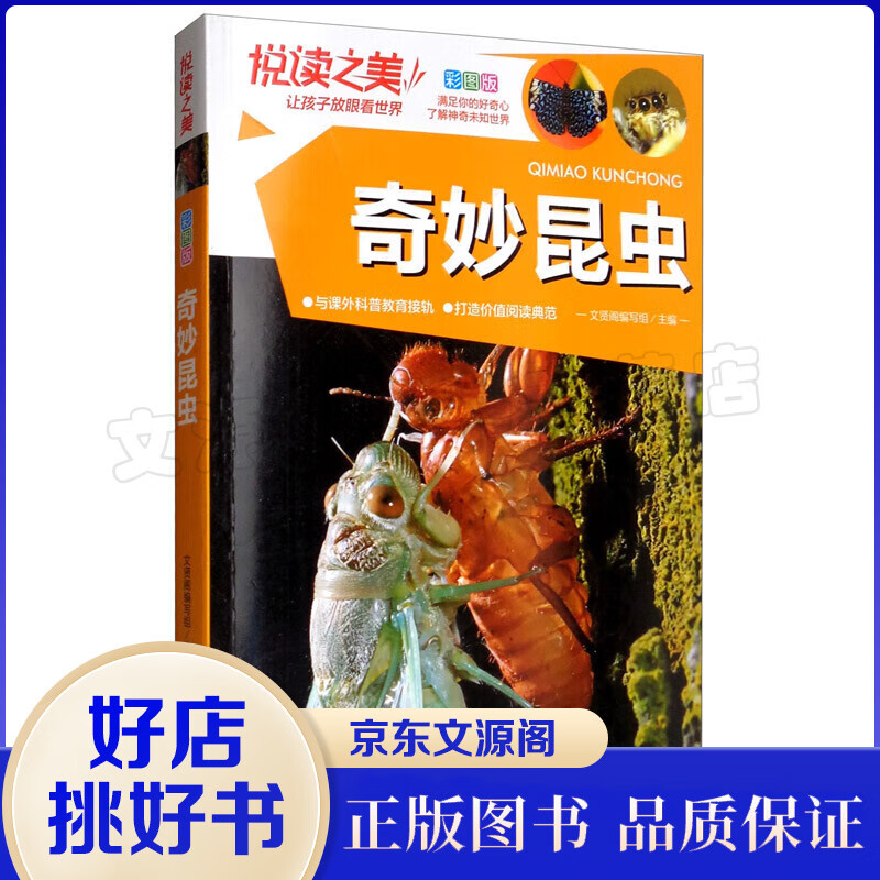 悦读之美-奇妙昆虫