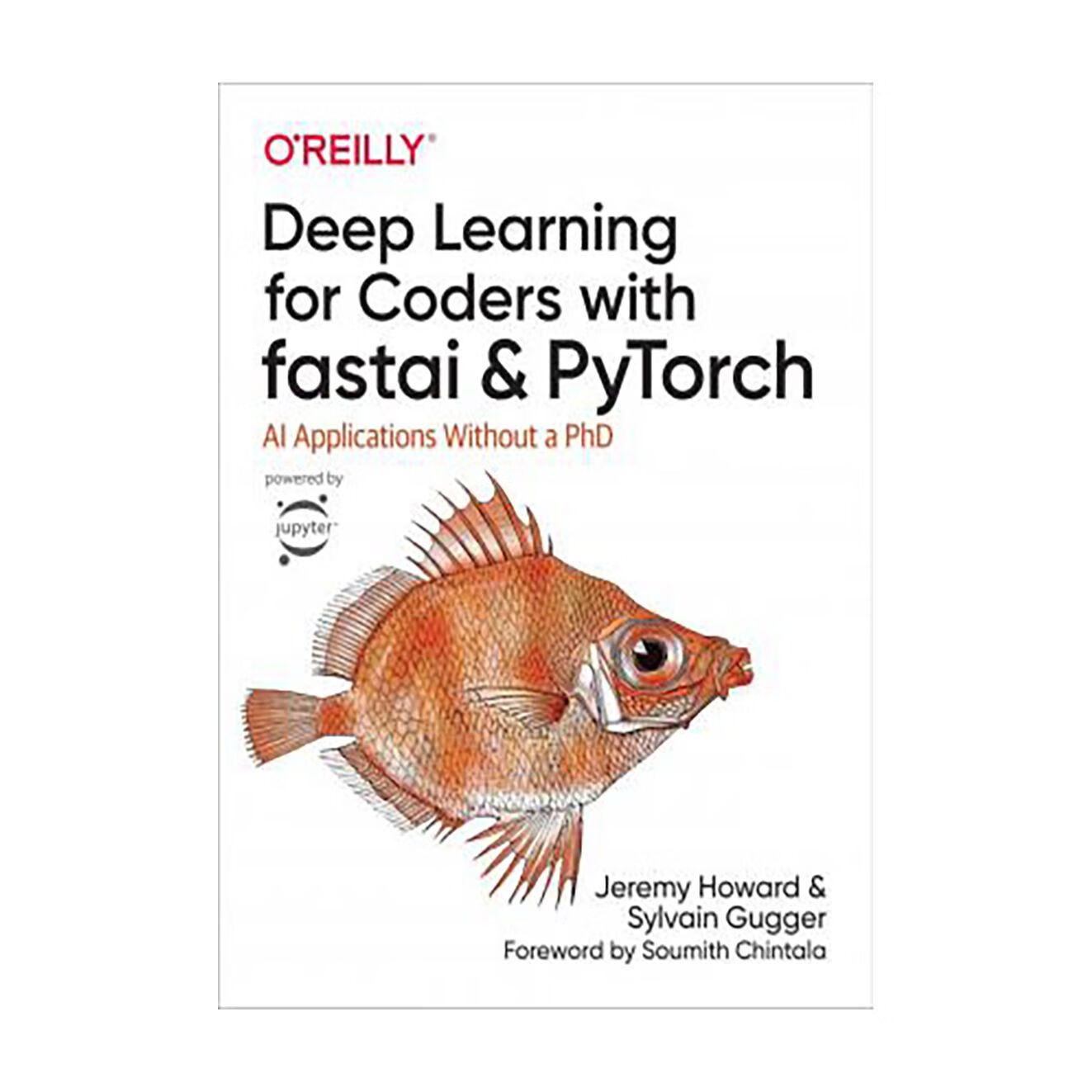 Deep Learning for Coders With Fastai and PyTorch 黑白