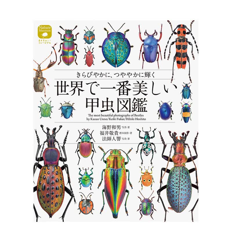 世界美丽甲虫图鉴 世界で一番美しい甲虫図鑑: きらびやかに、つややかに輝く 进口原版日文艺术 善本图书