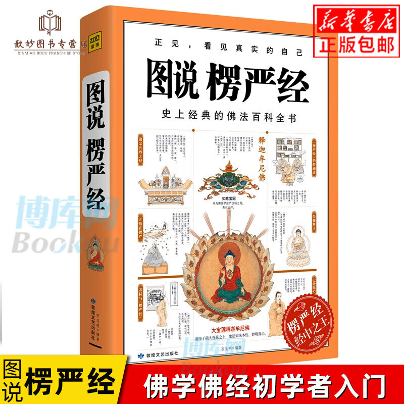 图说楞严经经典佛法百科全书图解版正法代表作品哲学教育人生哲理图说搭楞严经经书浅释义贯讲记书籍
