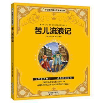 苦儿流浪记
