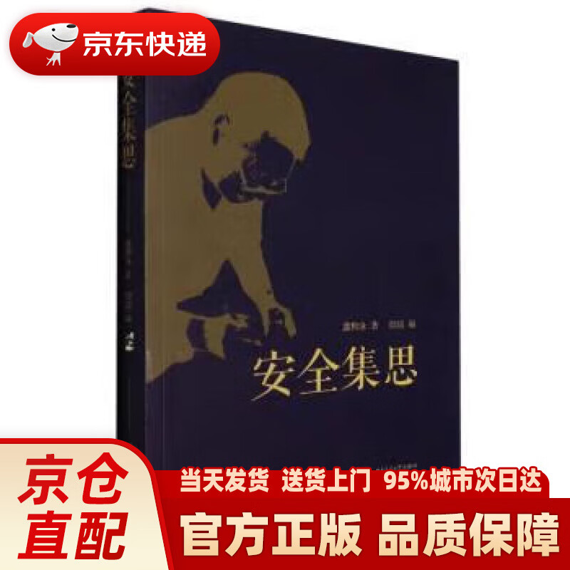 【新华】安全集思