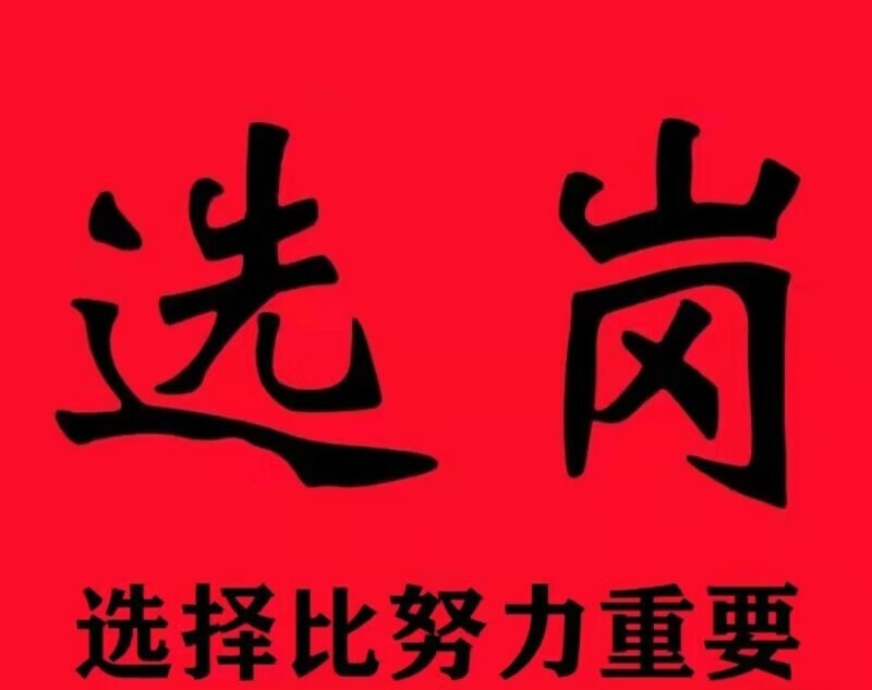 公考选岗咨询 公务员 事业编选岗咨询 遴选选调选岗咨询 全额支付
