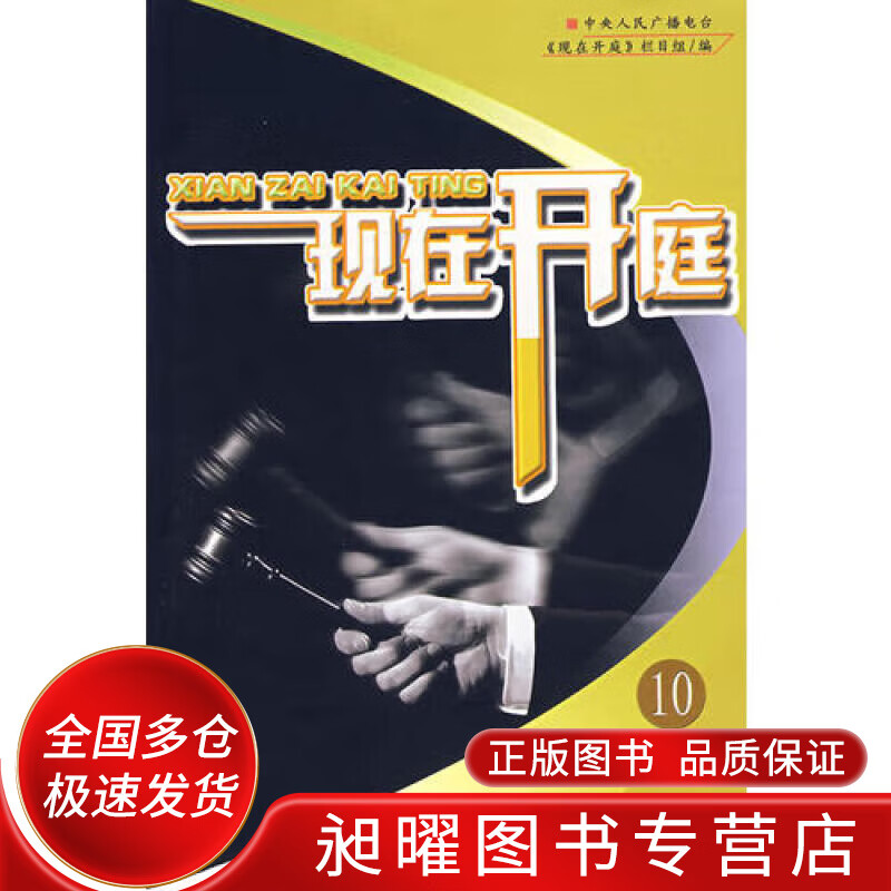 现在开庭10【精选】