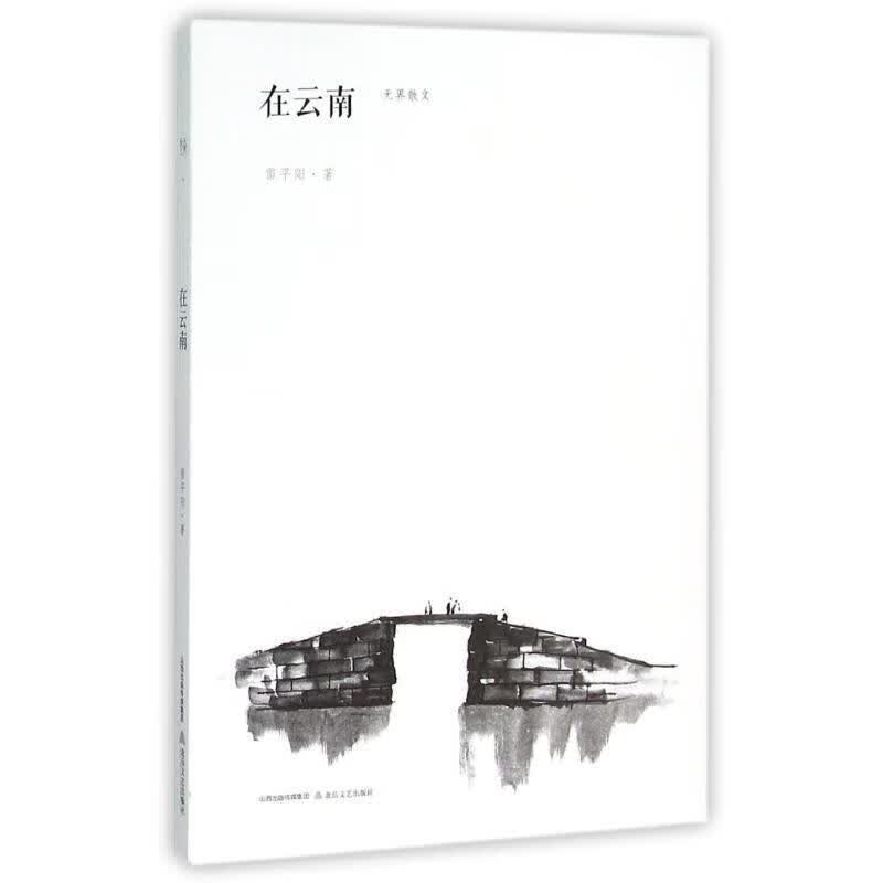 在云南 雷平阳