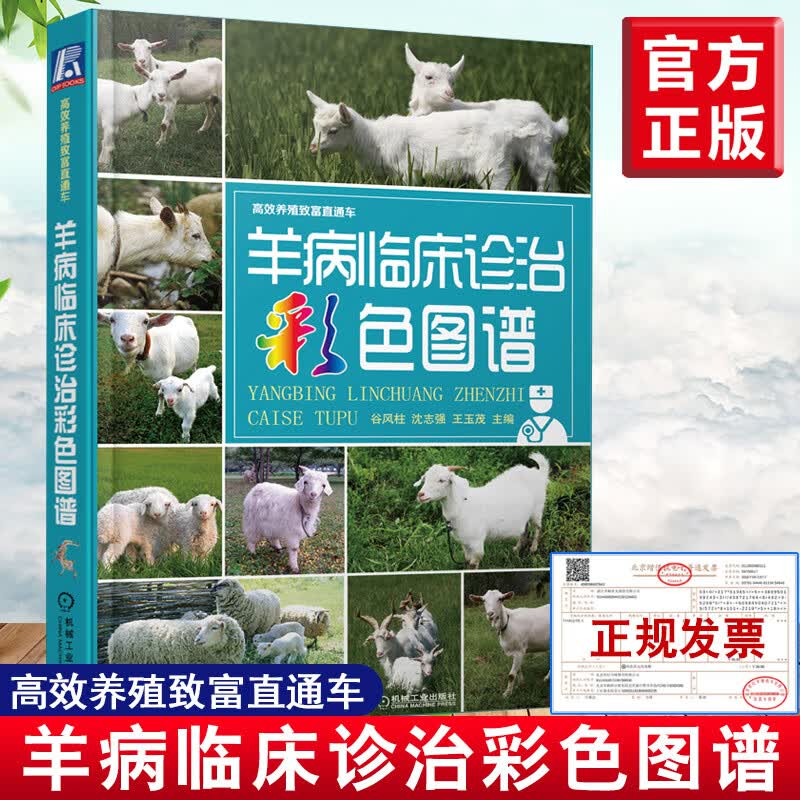 书籍 羊病临床诊治彩色图谱 实用羊病防治新技术手册 养羊技术大全书籍 肉羊小尾羊饲养