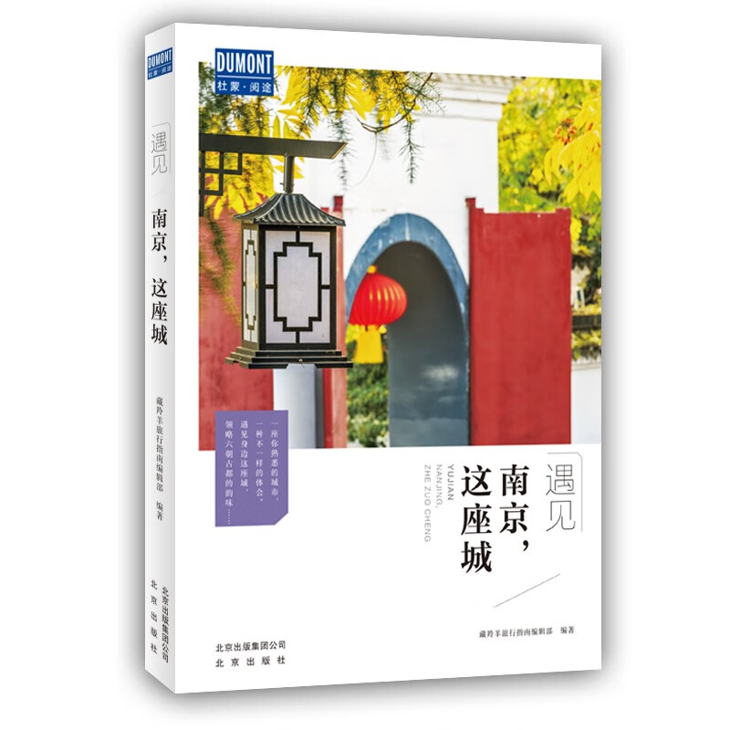 遇见这座城系列全12册重庆大理南京杭州西安上海成都厦门北京广州青岛苏州旅游指南攻略中国历史文化旅游小百科人文地理周边游美食 遇见南京这座城