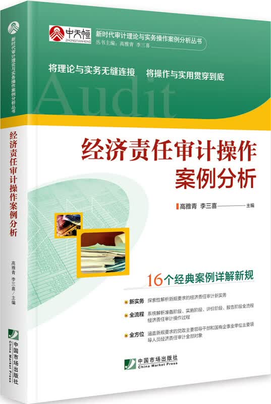 经济责任审计操作案例分析 高雅青著