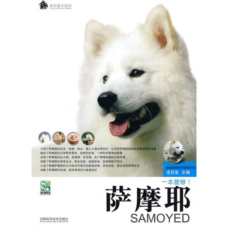萨摩耶【精选】