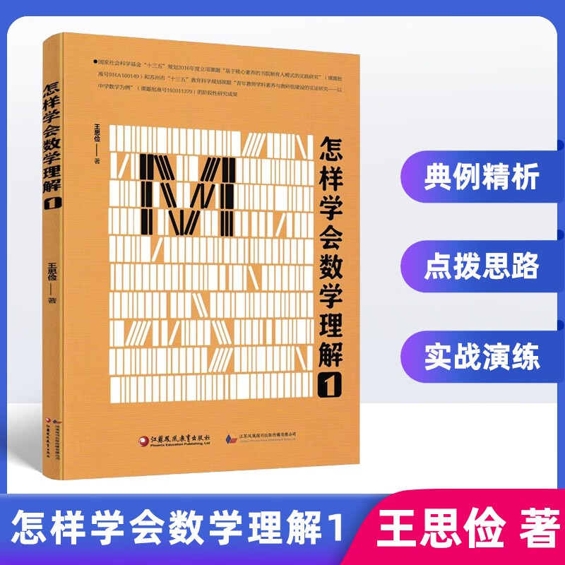 怎样学会数学思考 王思俭著 高中数学课教学研究 高考数学题解题指导 自主学习数学思维解析方法提升 怎样学会数学理解1